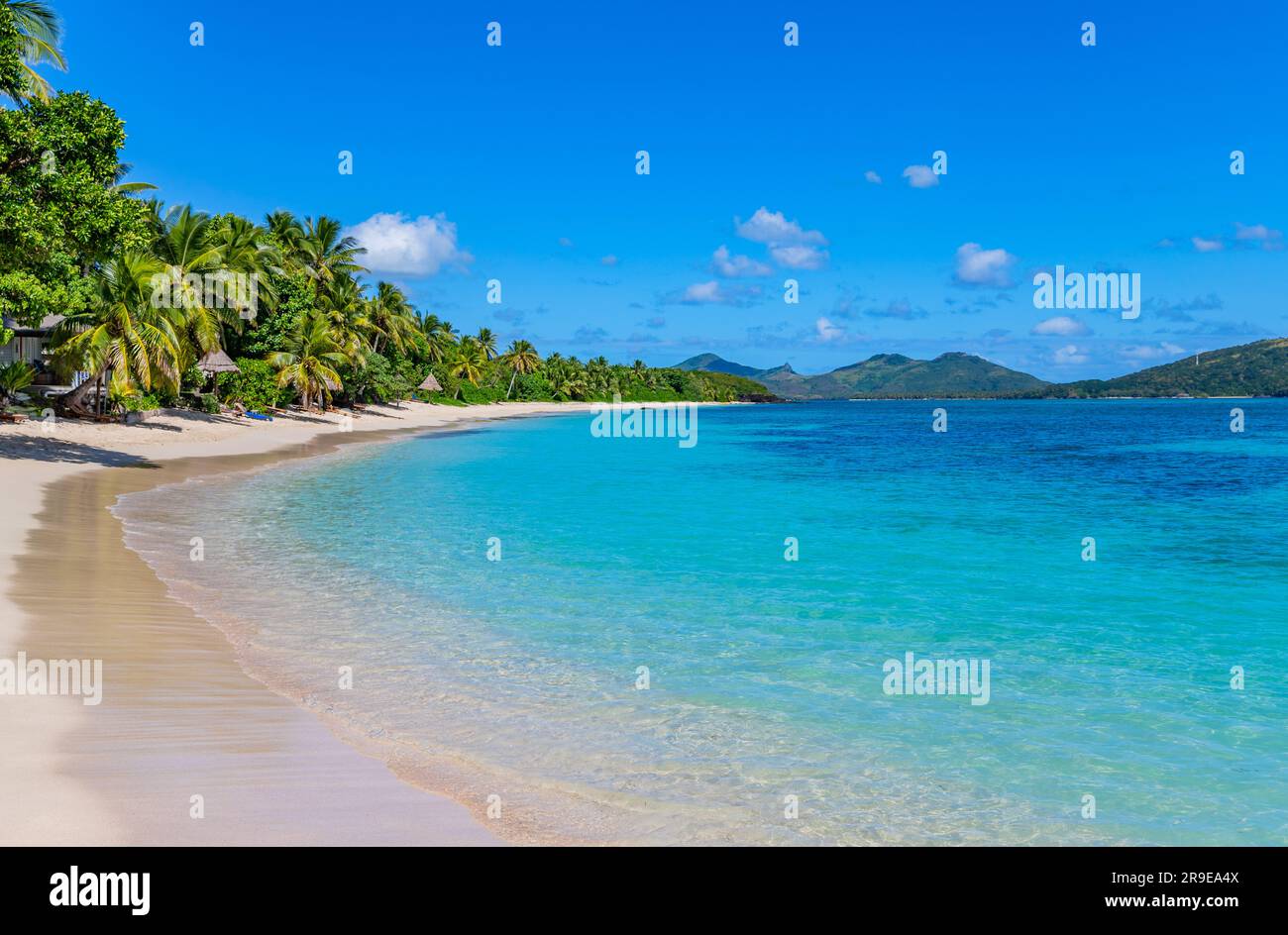 Palm trees and sea in Nacula Island, part of the Yasawa Island group in ...