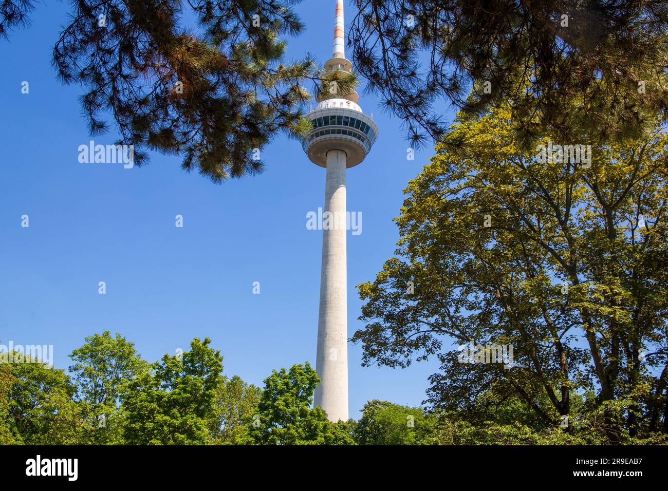 Telecommunication tower in Mannheim, Germany Stock Photo - Alamy