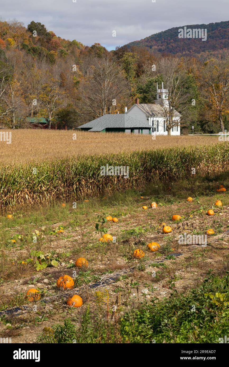 Battenkill valley hi-res stock photography and images - Alamy
