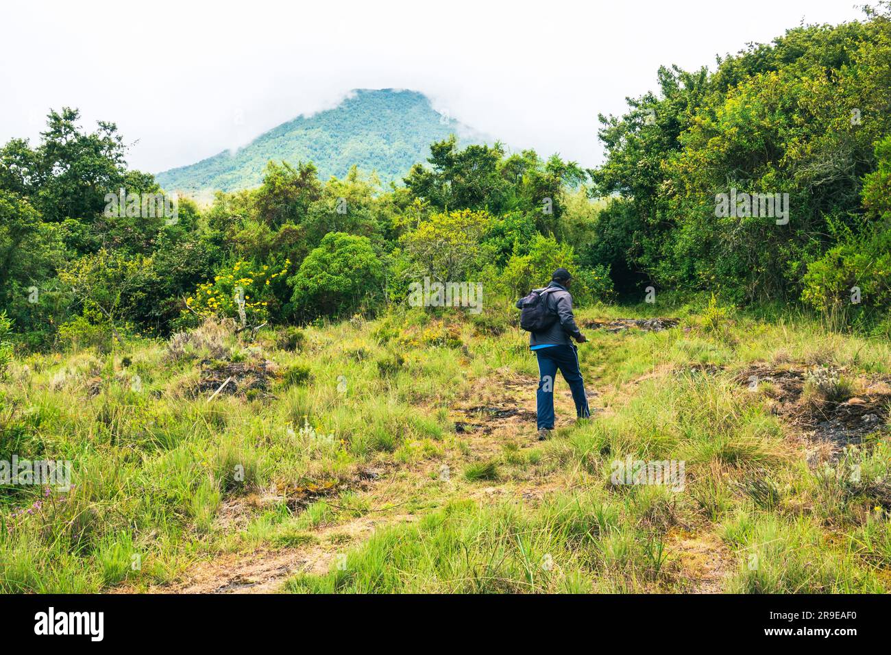 A hiker against the background of Mount Gahinga in the Virunga region ...