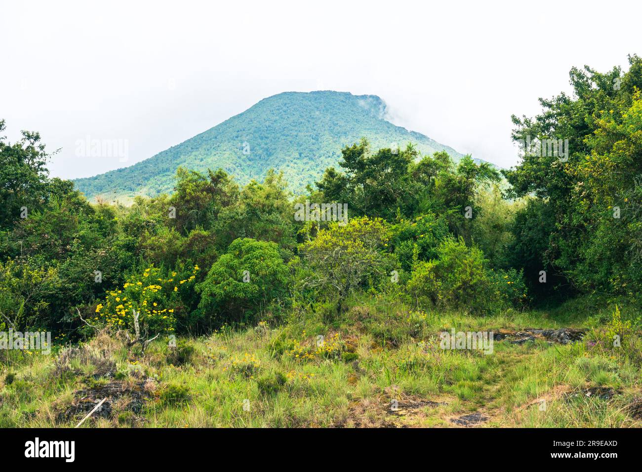 Mount Gahinga against a foggy background at Mgahinga Gorilla Nationa ...