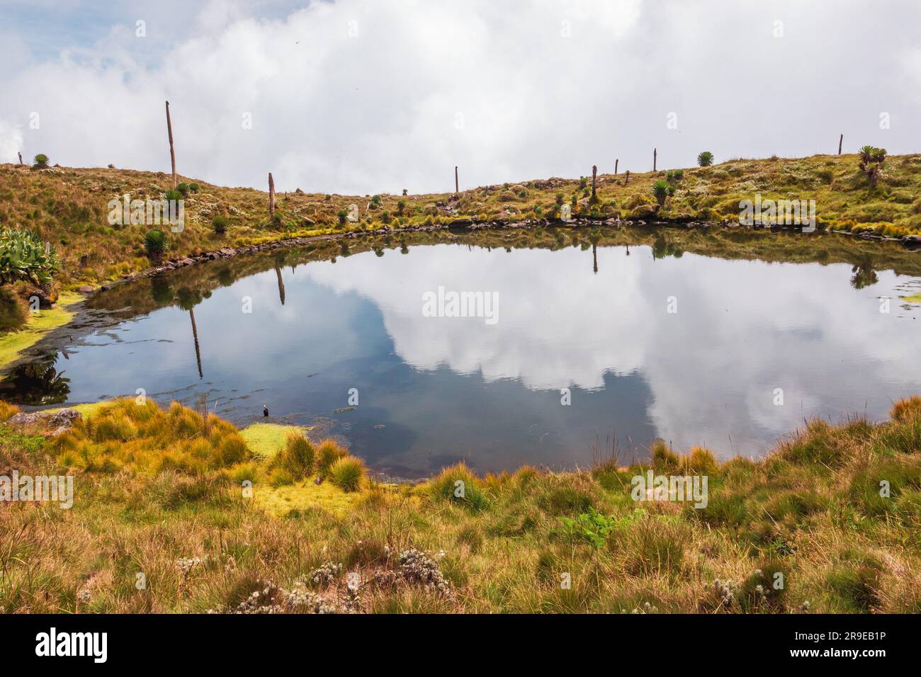 Scenic view of a crater lake at Mount Muhabura in the Mgahinga Gorilla ...
