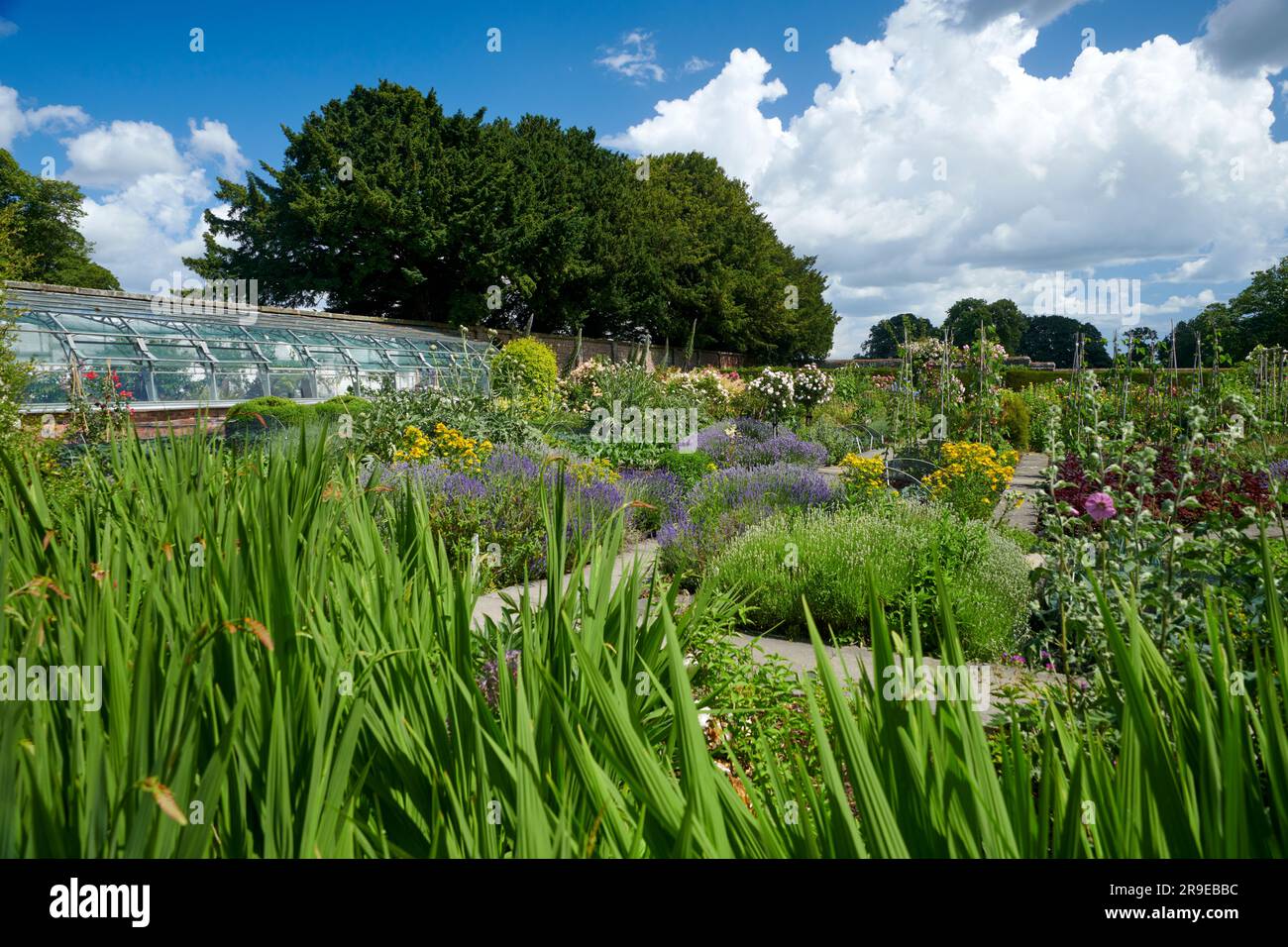 Formal Elizabethan Walled Garden in full flower durring the summer ...