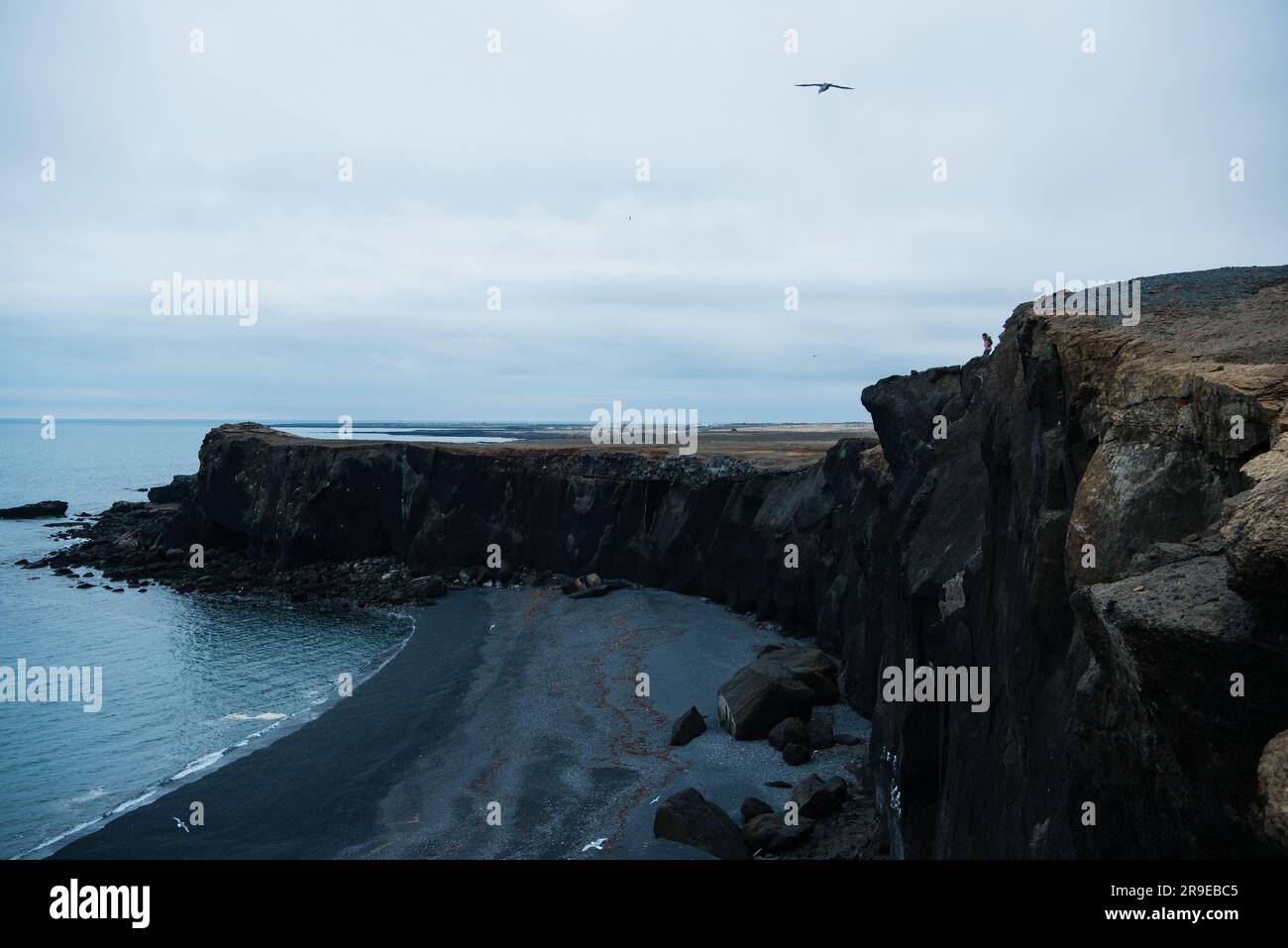 Landscape image with a dramatic view of a black sand beach and the ...