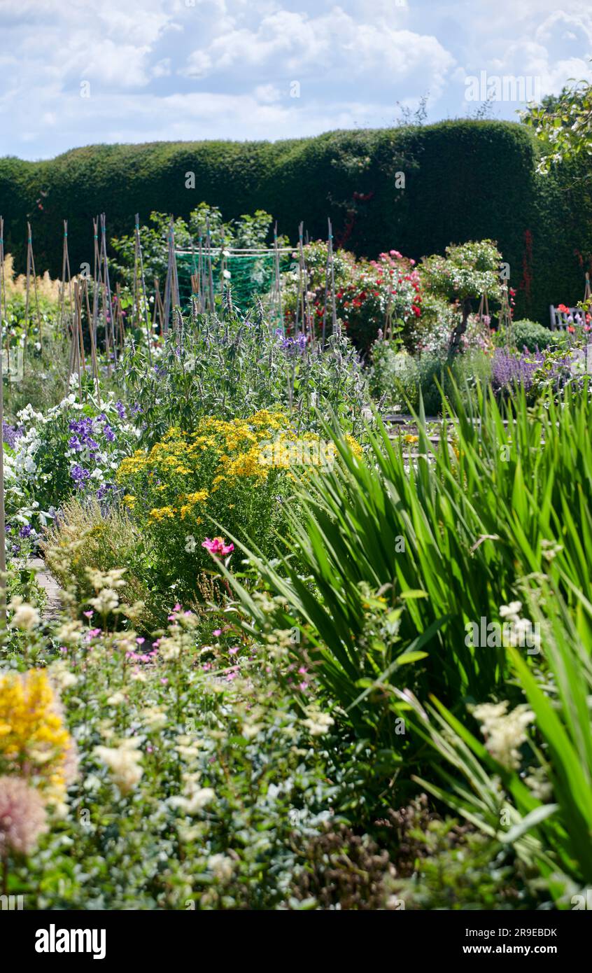 Formal Elizabethan Walled Garden in full flower durring the summer ...
