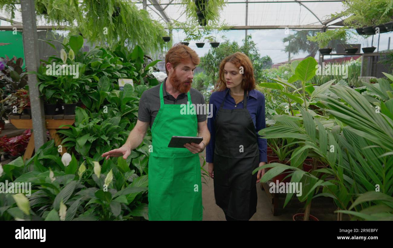 Redhaired Employees Utilizing Tablet To Showcase Inventory At Local Plant Shop Male Staff