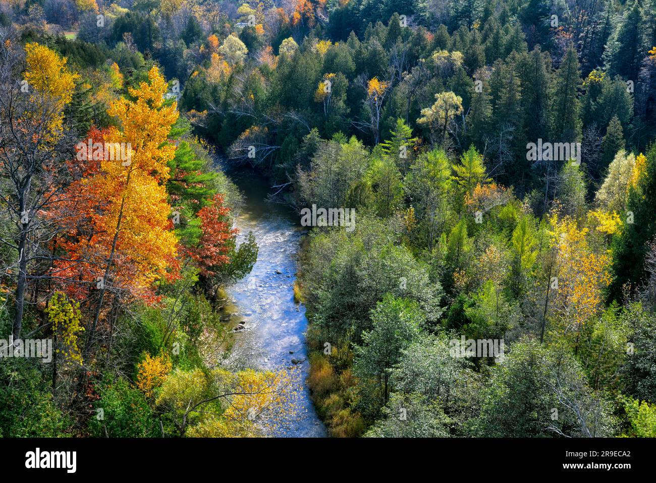 Aerial view of colourful autumn forest and blue water stream Stock ...