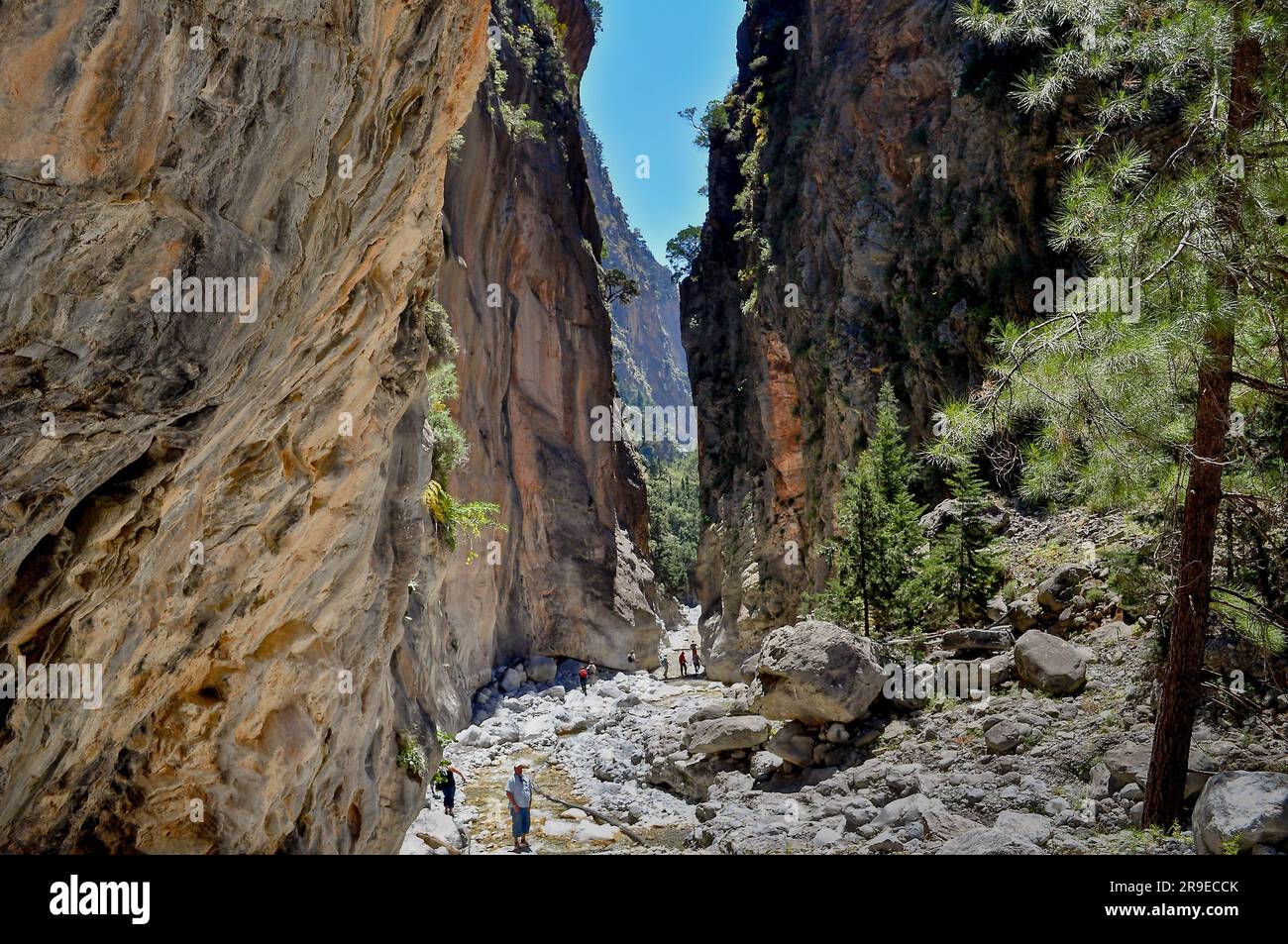 A winding and rugged dirt pathway framed by two towering canyon walls ...