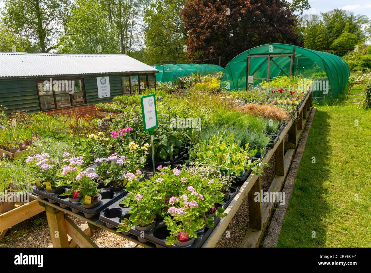 Plants on sale at plant nursery, Heale House and gardens, Middle ...