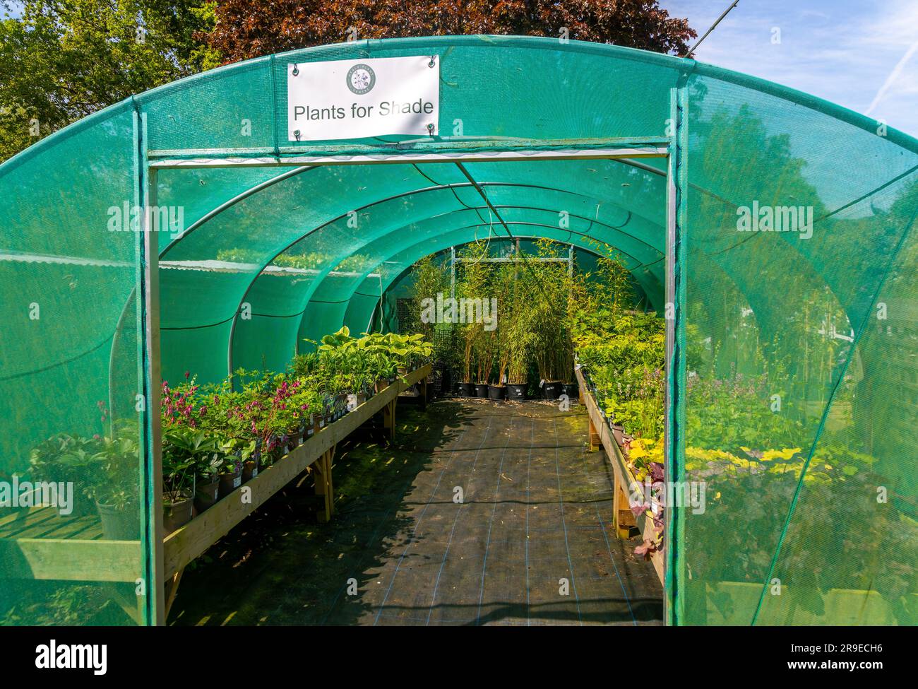 Plants for shade on sale at plant nursery, Heale House and gardens, Middle Woodford, Salisbury ...