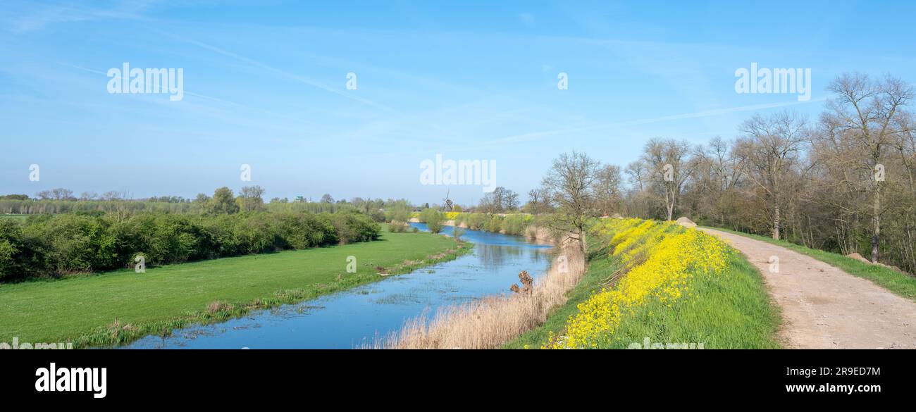 floodplanes of river waal near zaltbommel and windmill near castle ...