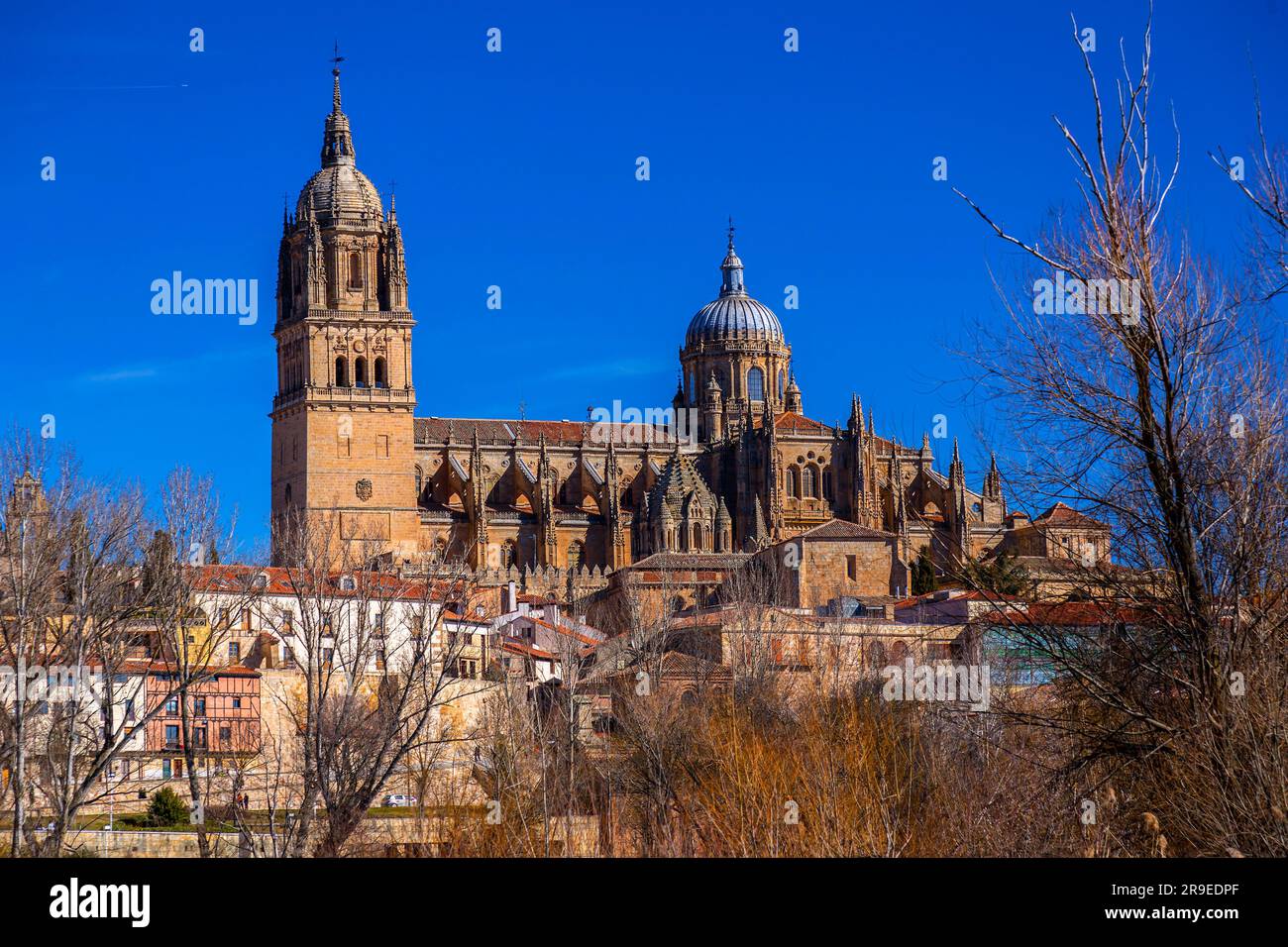 The New Cathedral, Catedral Nueva is one of the two cathedrals of ...
