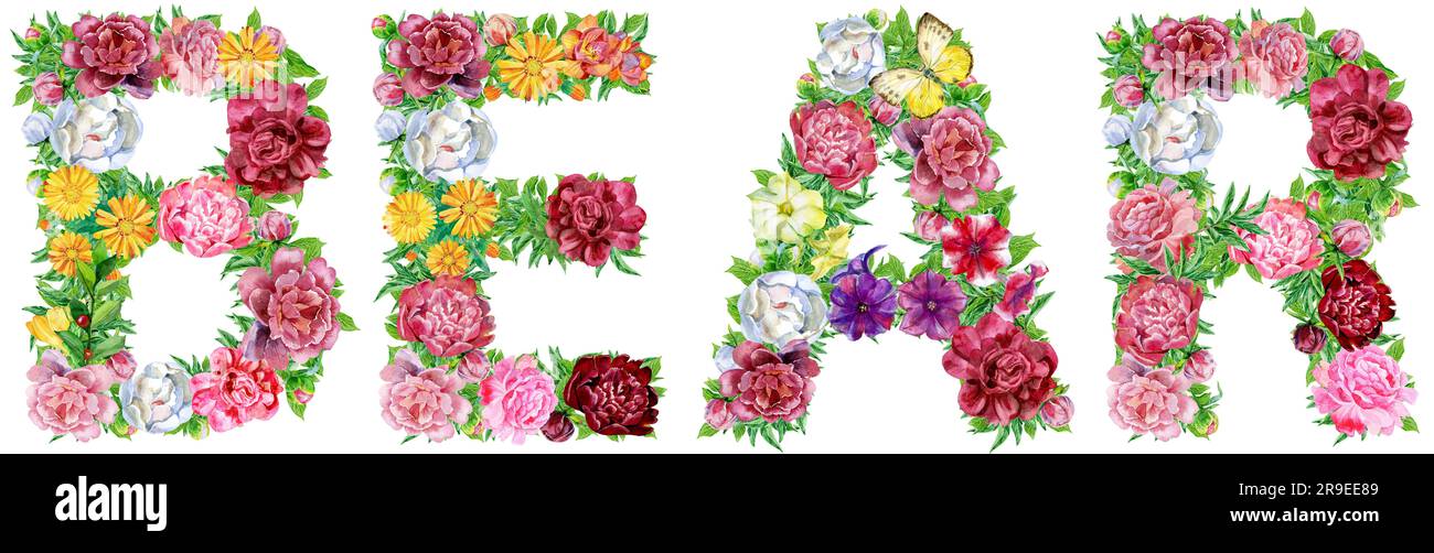 Word BEAR of watercolor flowers, isolated hand drawn on a white ...