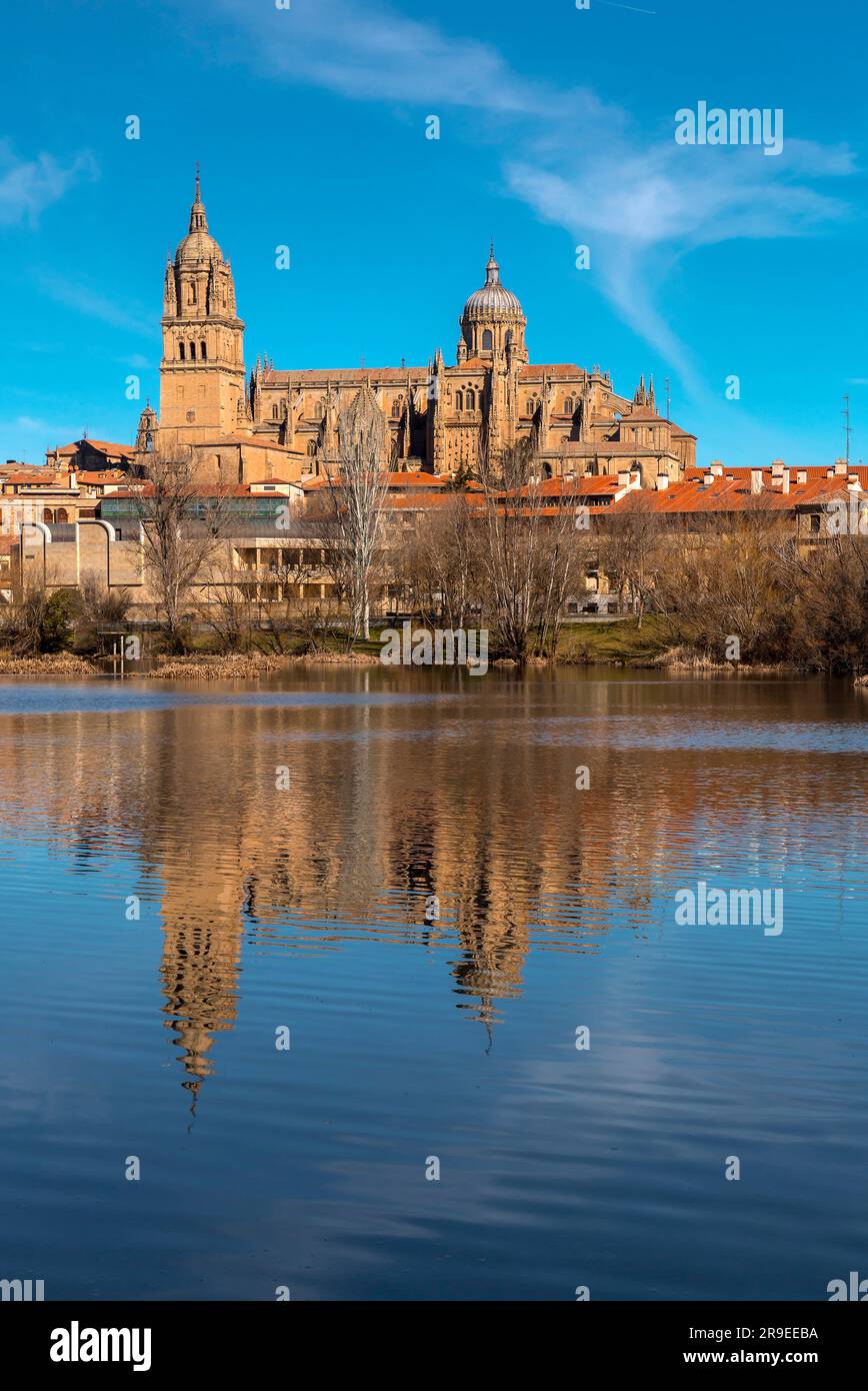 The New Cathedral, Catedral Nueva is one of the two cathedrals of ...