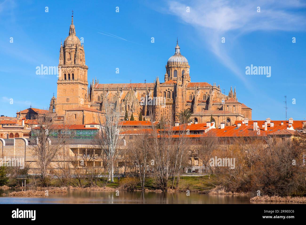 The New Cathedral, Catedral Nueva is one of the two cathedrals of ...