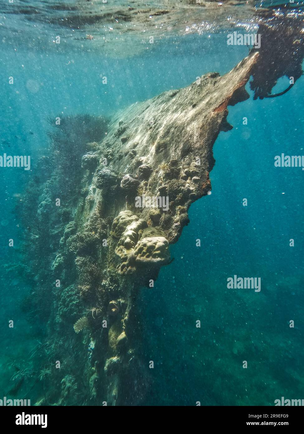 Japanese shipwreck, Coron islands, Palawan, Philippines, Asia Stock ...