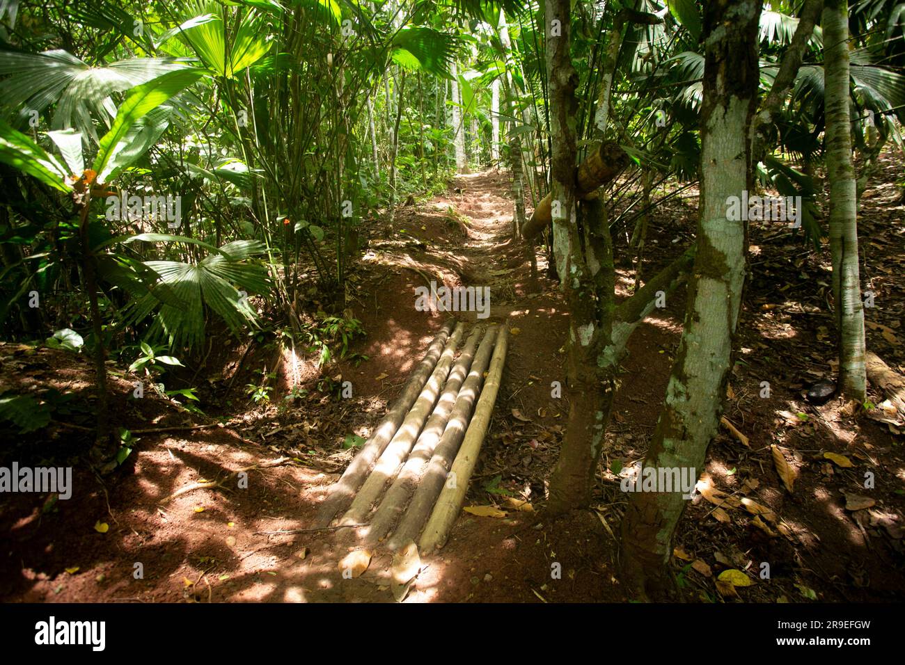 The amazon river pollution hi-res stock photography and images - Alamy