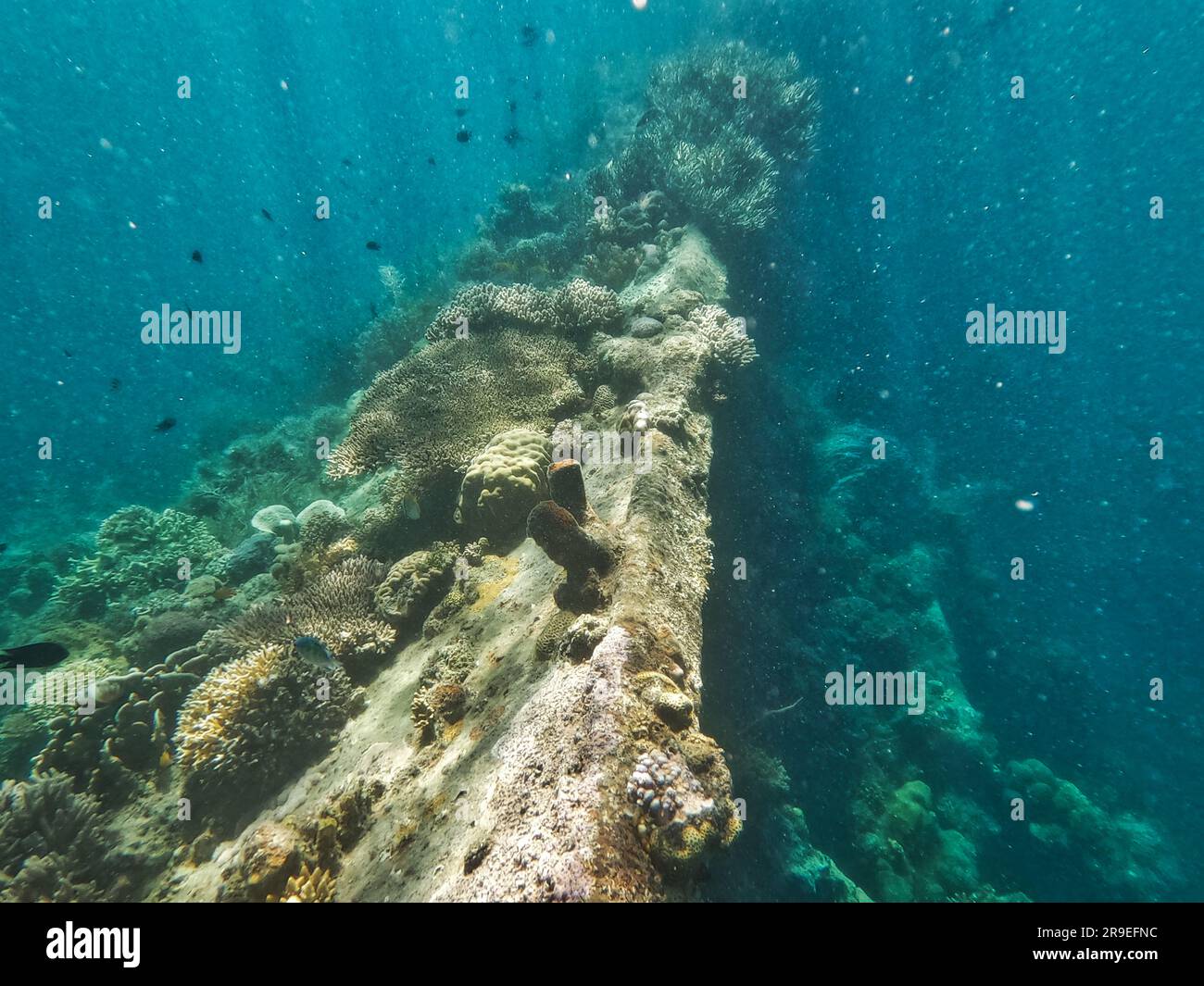 Coron island, Philippines, Asia Stock Photo - Alamy