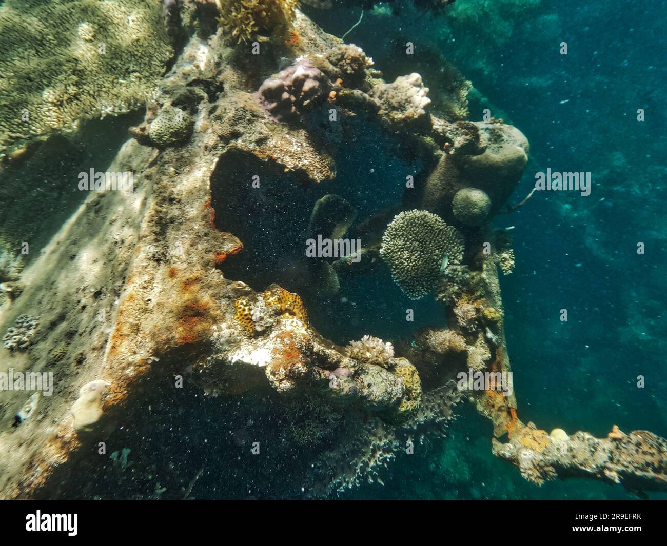 Japanese shipwreck, Coron islands, Palawan, Philippines, Asia Stock ...