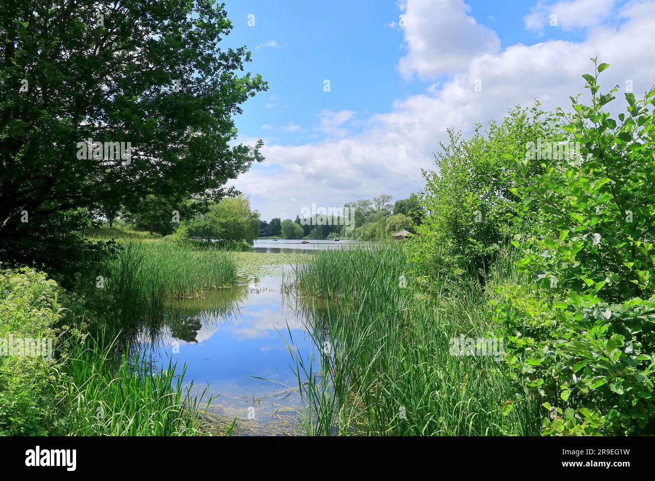 A beautiful summers day on the River Eden in the Kent countryside Stock ...