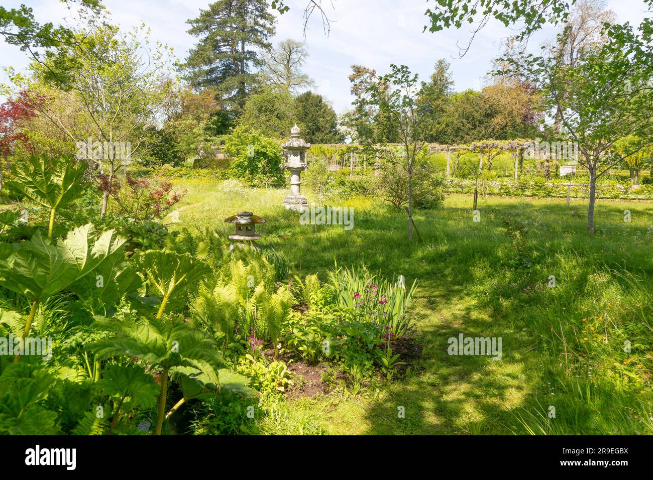 Pathway through uncut grass lawn, Heale House and gardens, Middle ...