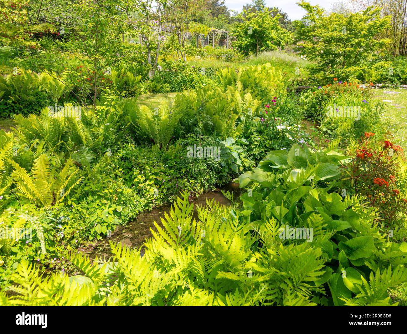 Heale gardens, salisbury hi-res stock photography and images - Alamy