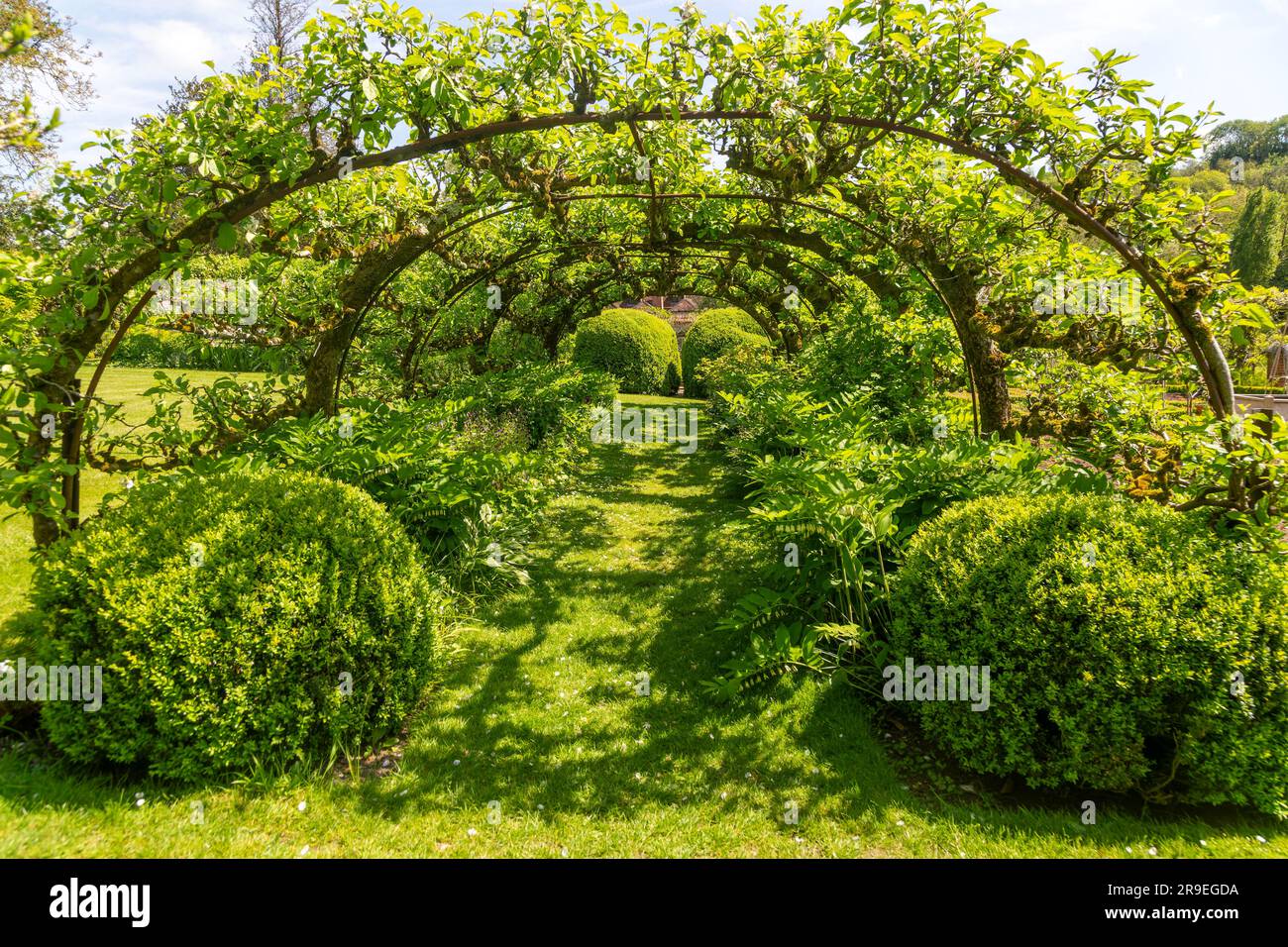 Apple tree tunnel Heale House and gardens, Middle Woodford, Salisbury ...