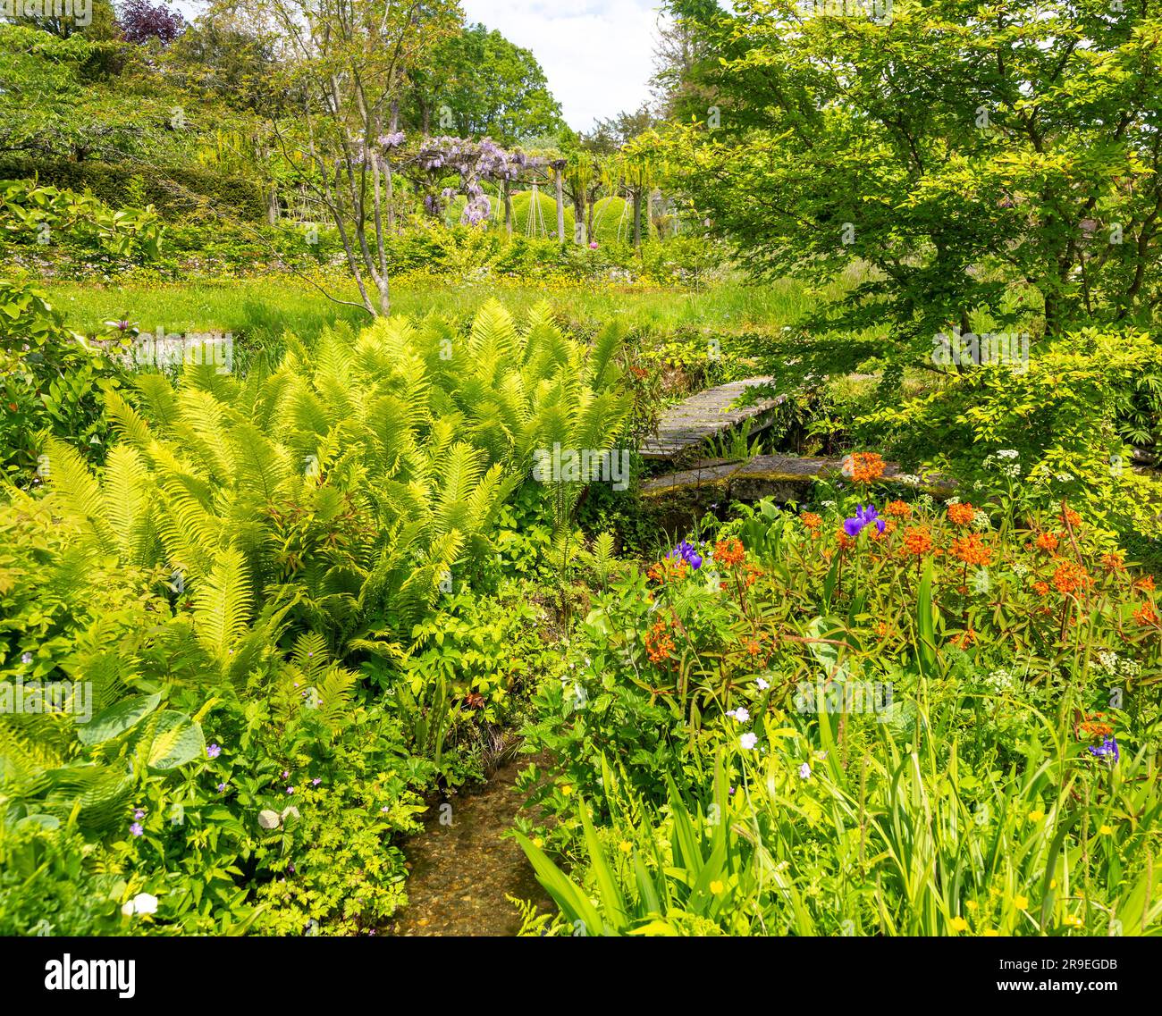 Heale gardens, salisbury hi-res stock photography and images - Alamy