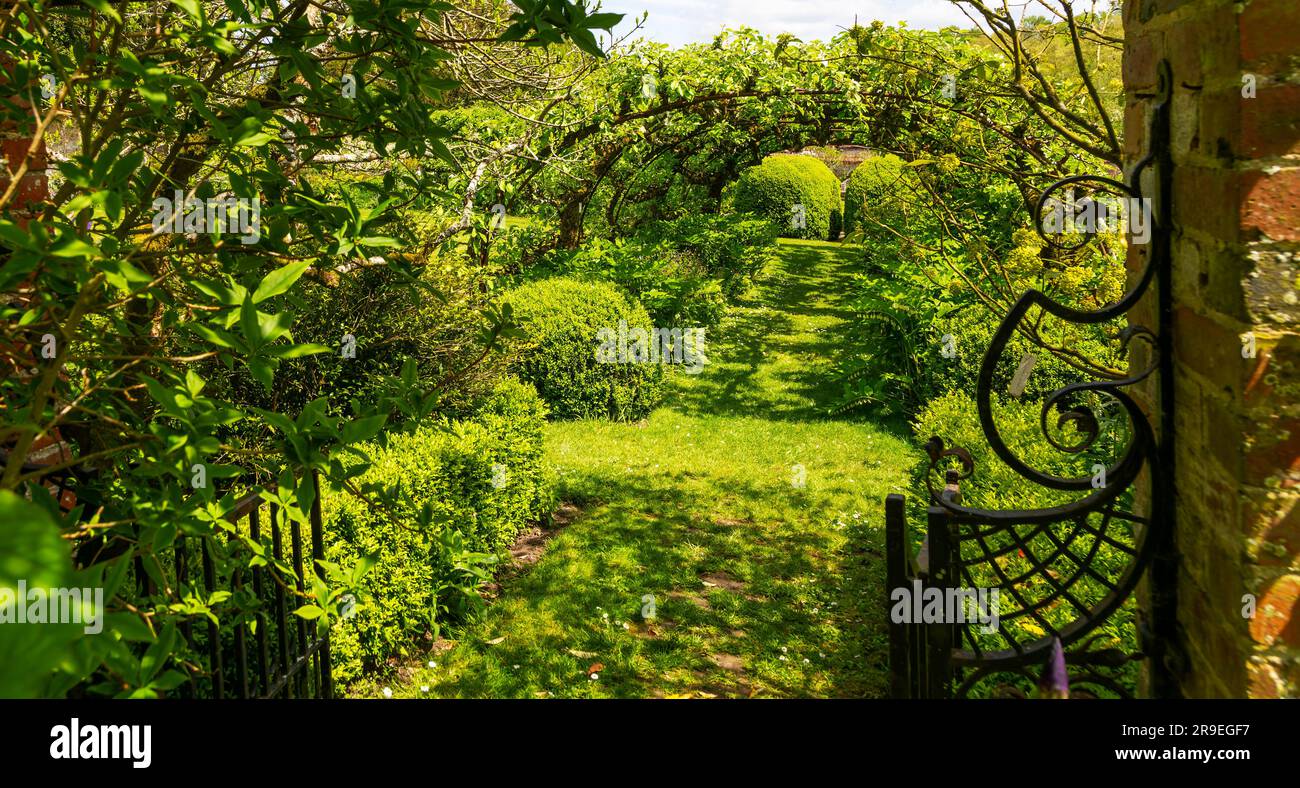Apple tree tunnel Heale House and gardens, Middle Woodford, Salisbury ...