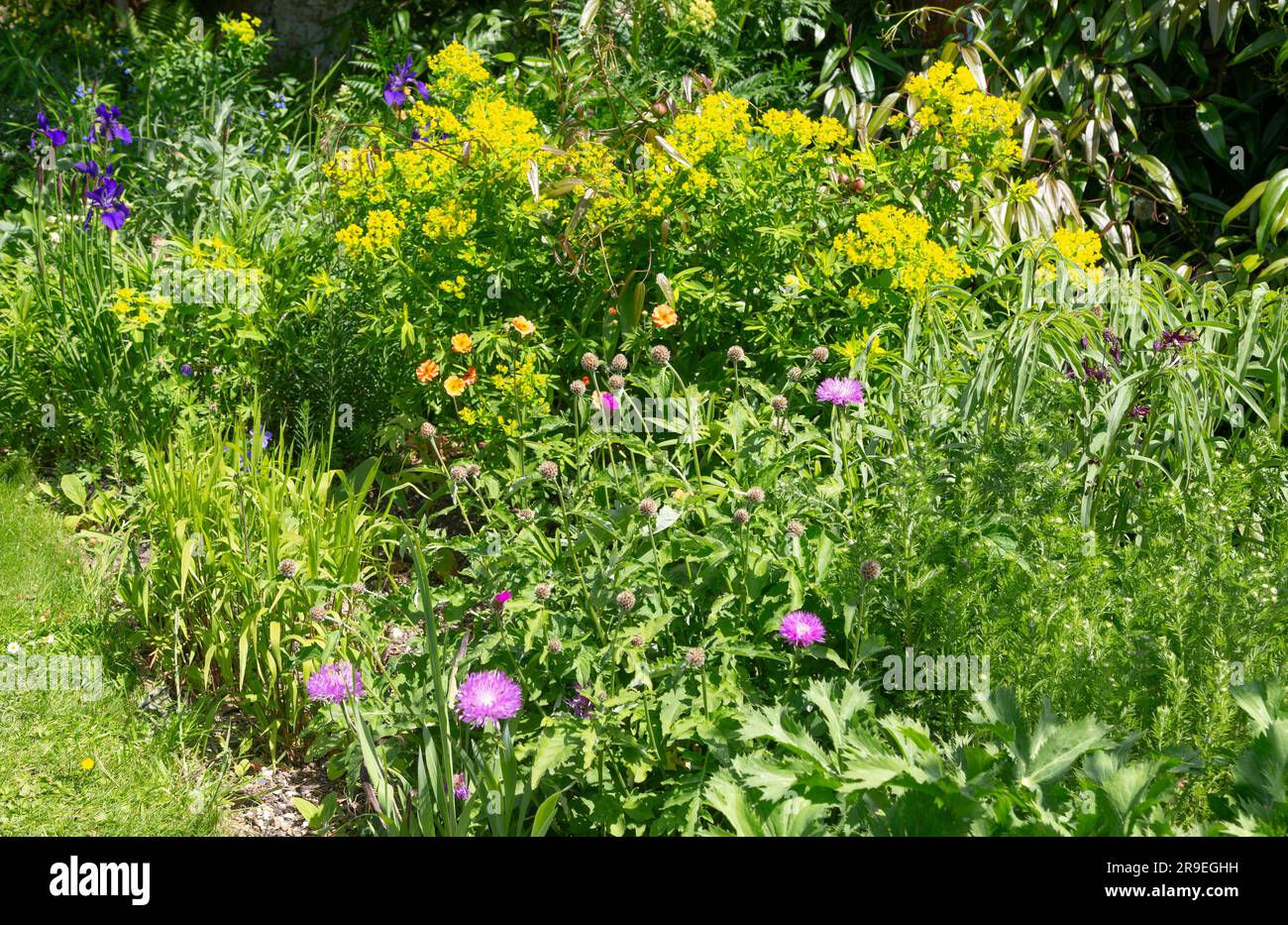 Heale House and gardens, Middle Woodford, Salisbury, Wiltshire, England ...