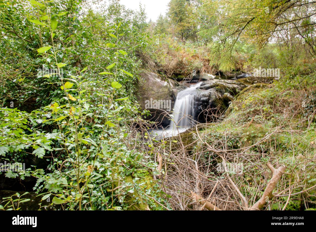Lovely waterfall in typical Irish landscape Stock Photo - Alamy