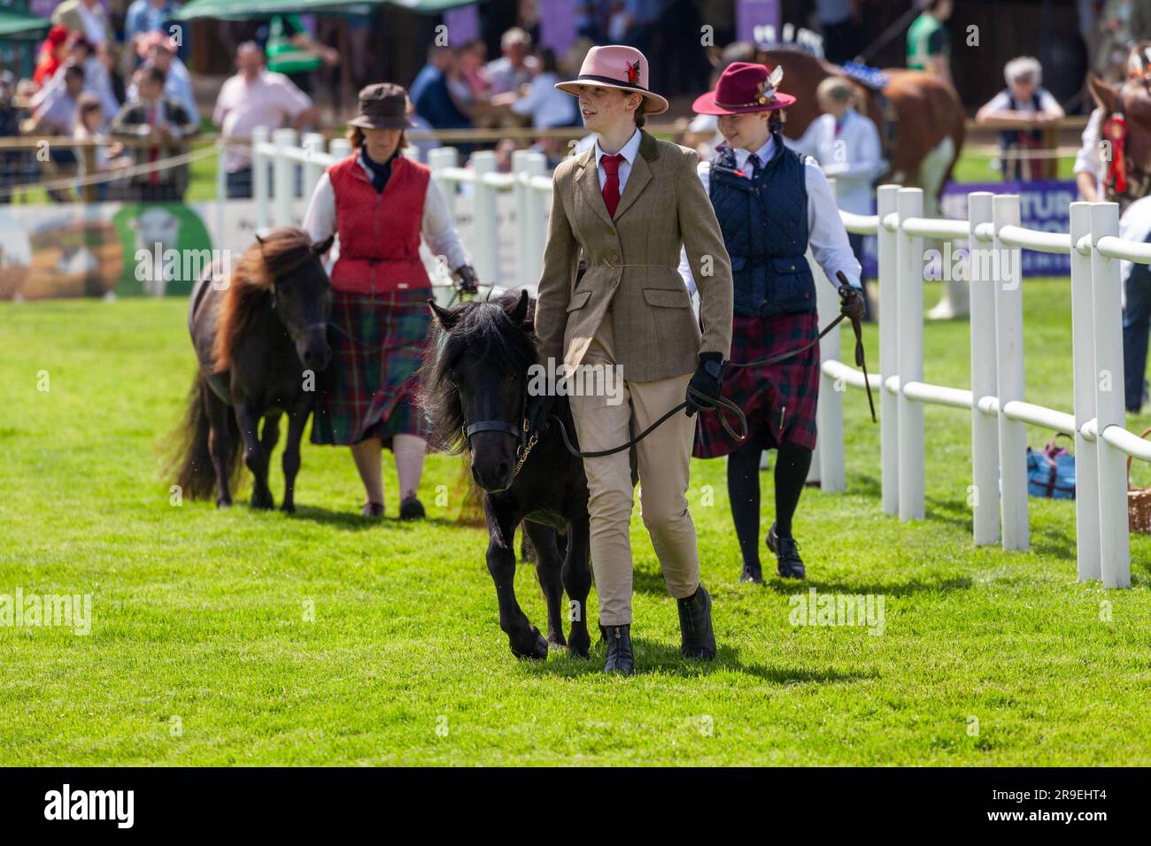 Showing ponies at the Royal Highland Show, Edinburgh, Scotland Stock ...