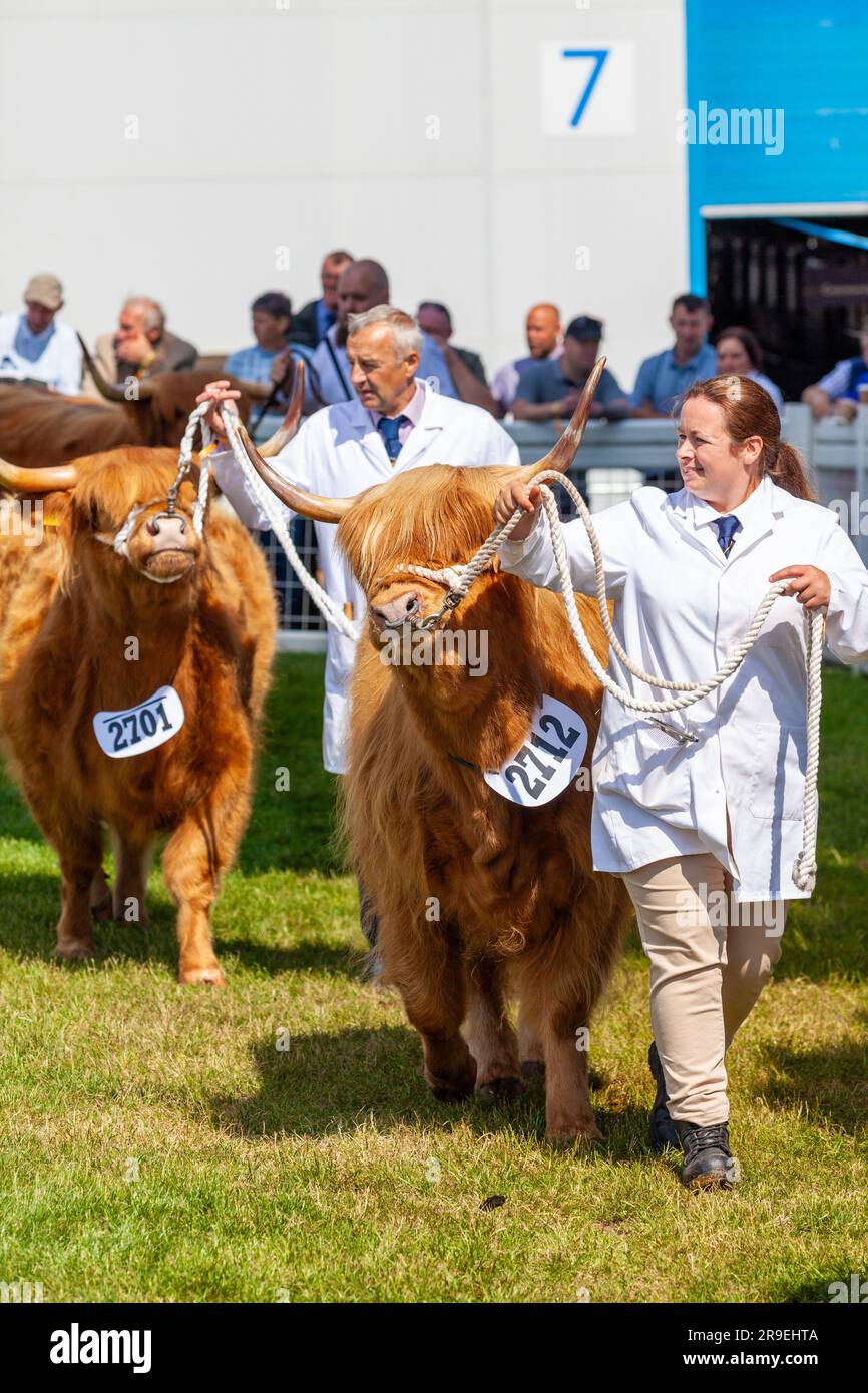 At the royal highland showground in edinburgh hi-res stock photography ...