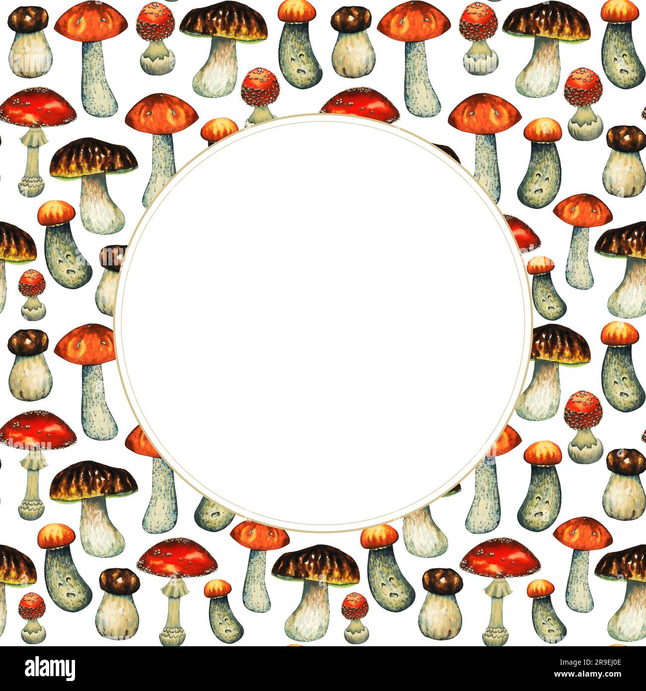 Watercolor forest mushrooms round frame with red fly agarics, amanita ...