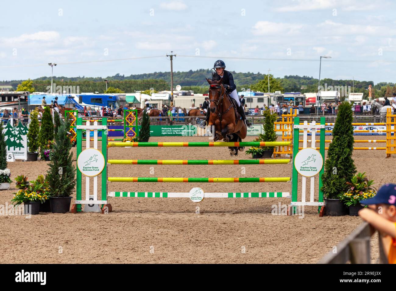 Show jumping at the Royal Highland Show, Scotland Stock Photo - Alamy