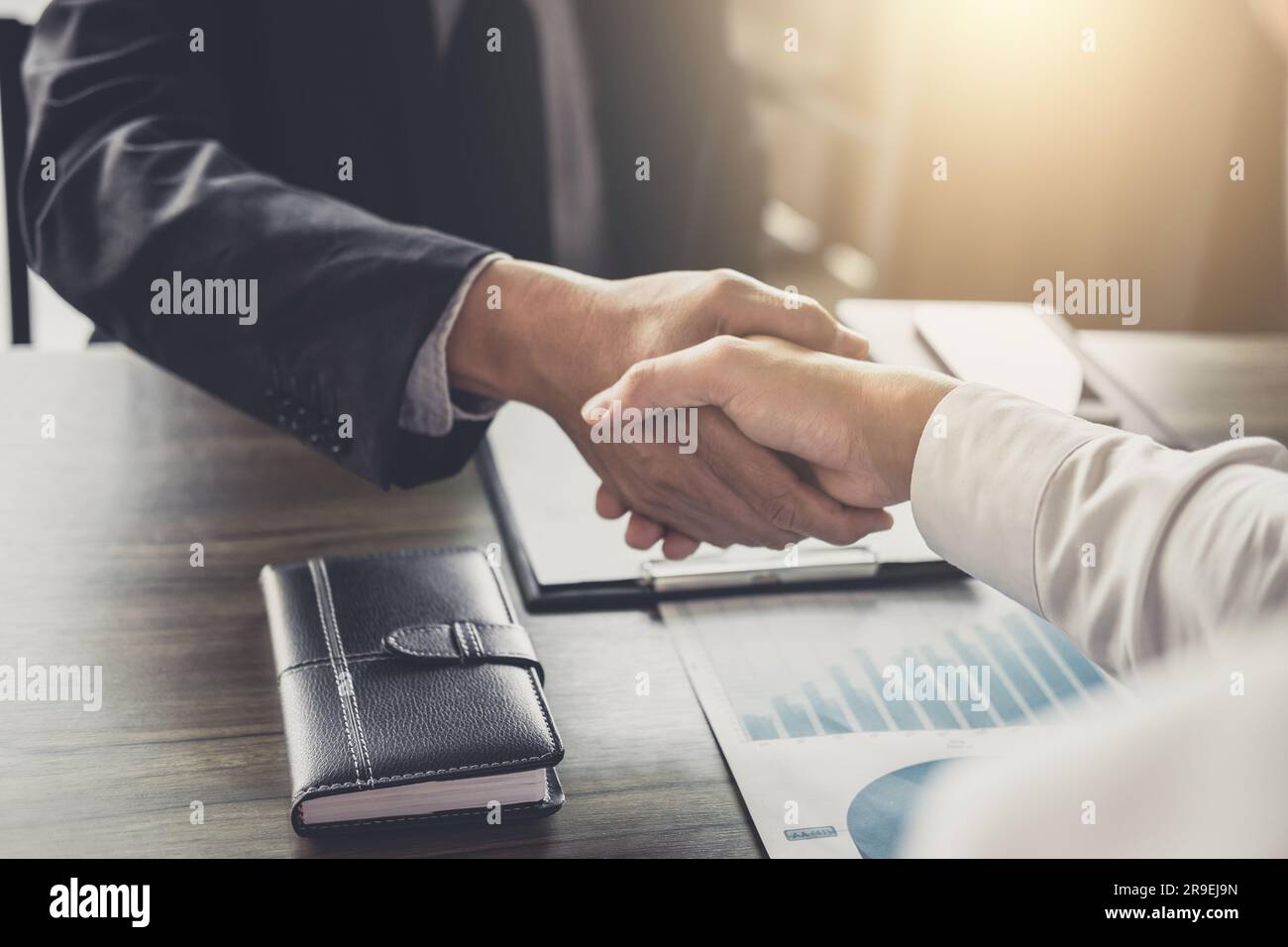 Meeting and greeting concept, Two confident Business handshake and ...