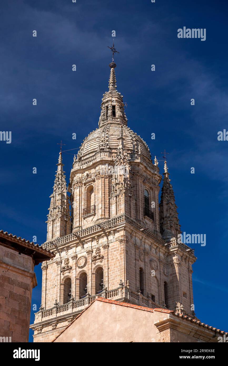 Architectural detail from the New Cathedral, Catedral Nueva is one of ...