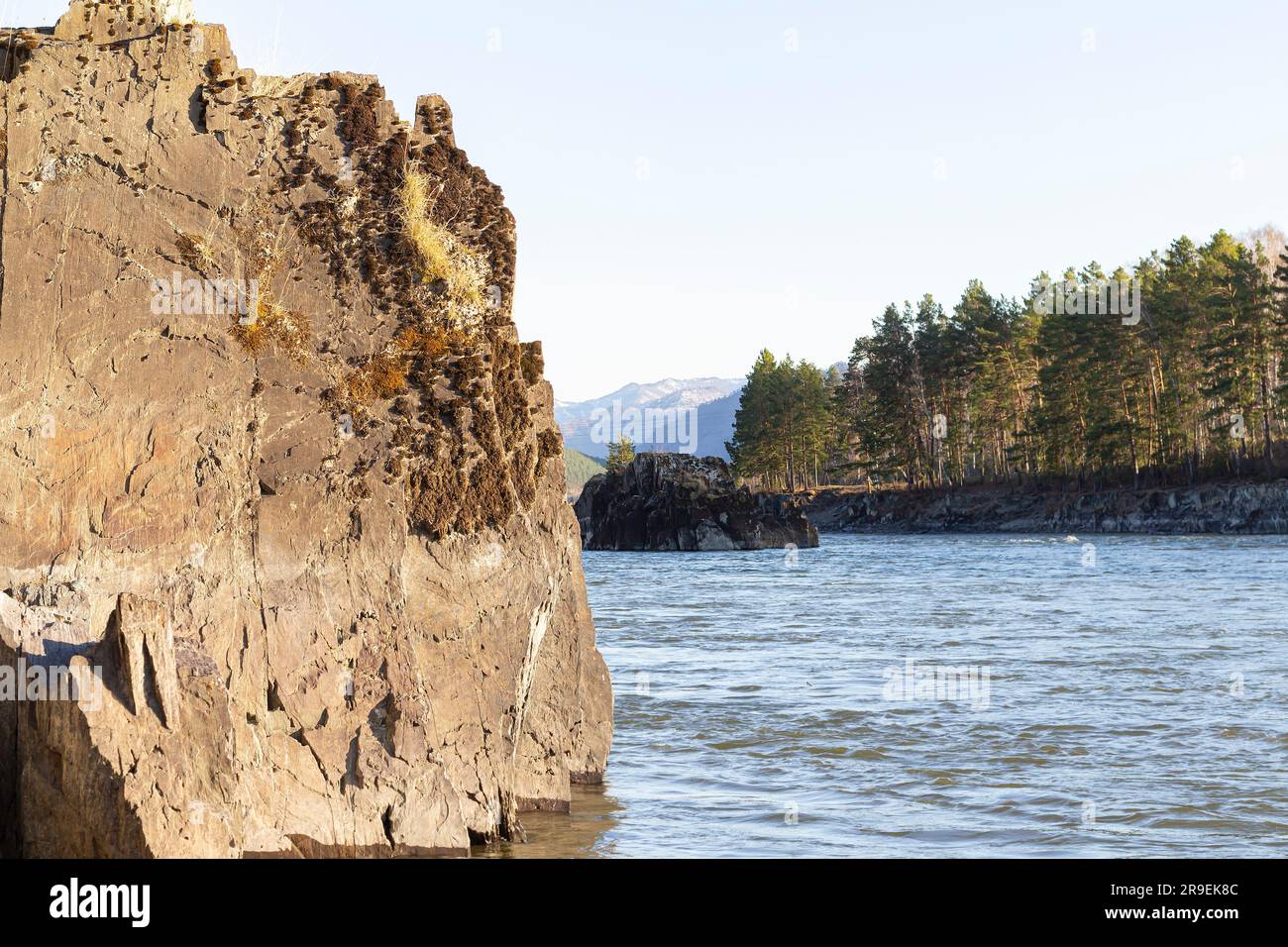 Atmospheric landscape with wide mountain river and coniferous trees ...