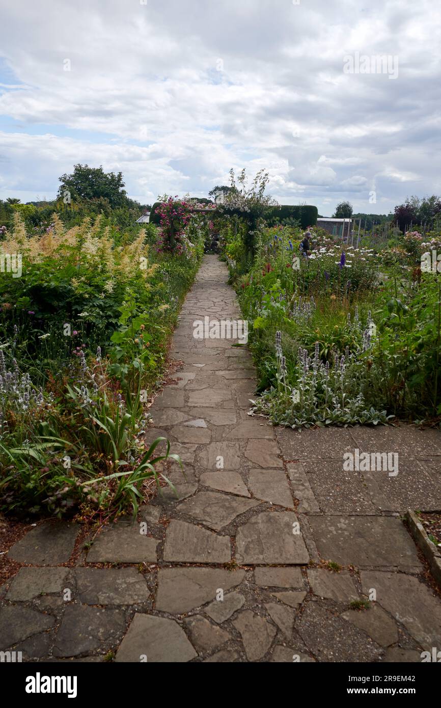 Rose arch or trellis with Engish roses growing in an Elizabethan walled ...