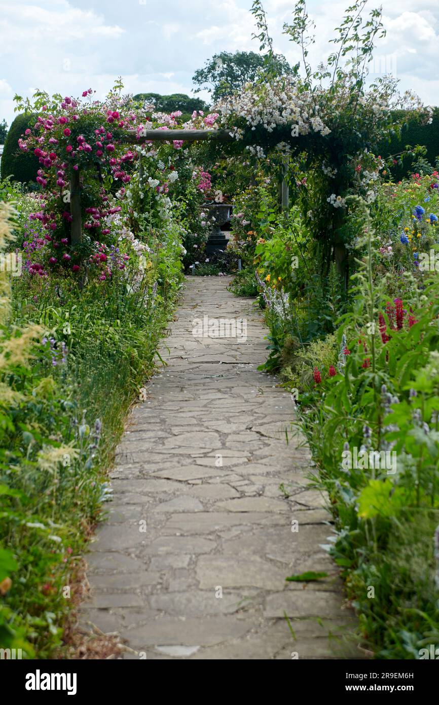Rose arch or trellis with Engish roses growing in an Elizabethan walled ...