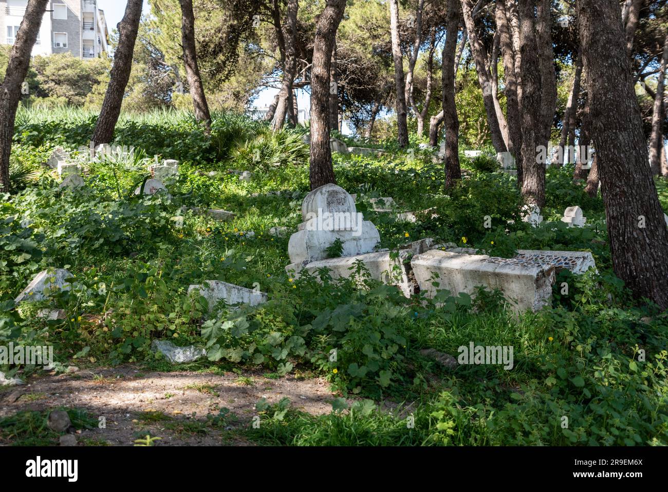 Tombstones in the public Mendoubian gardens in downtown Tangier ...