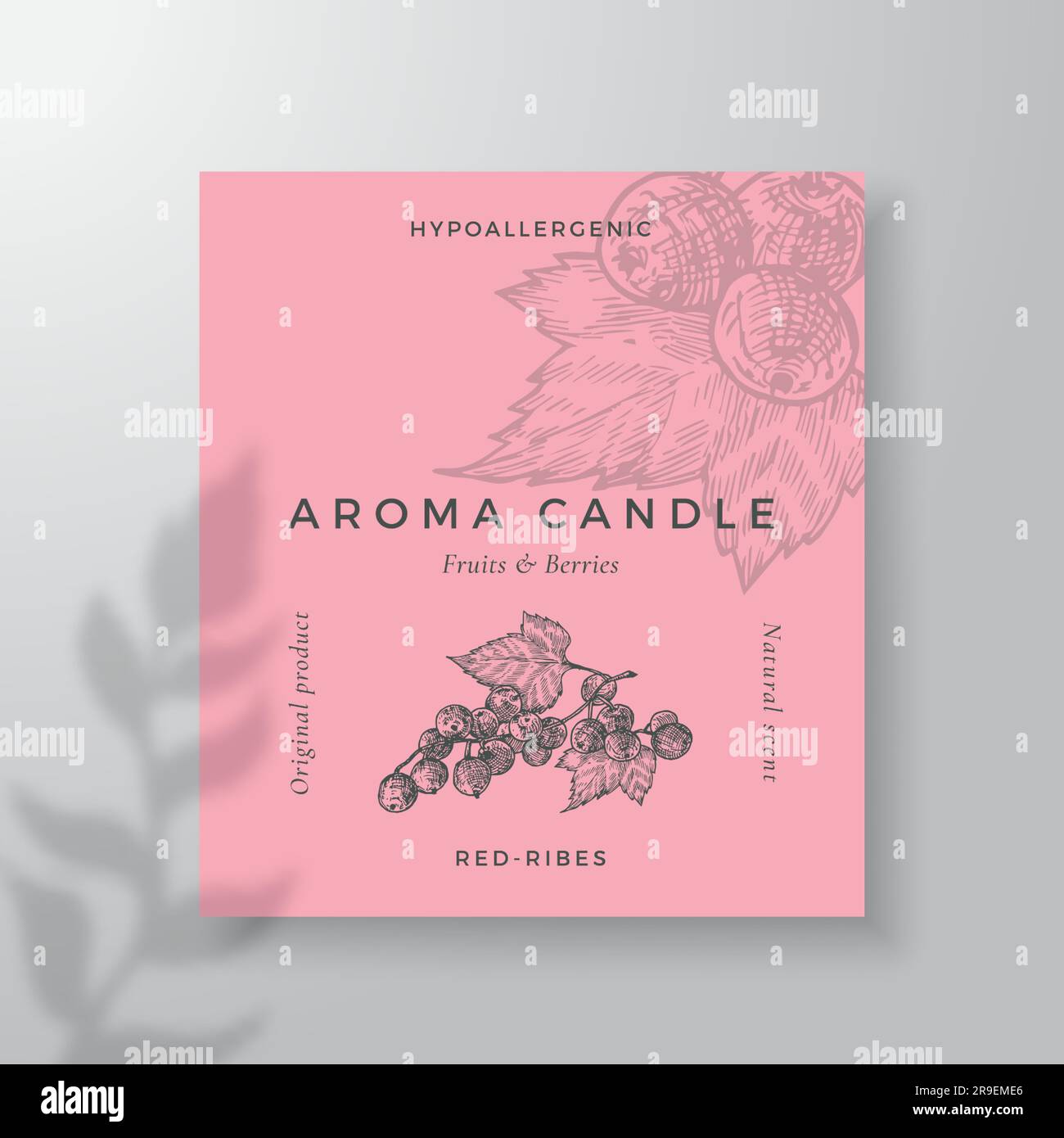 Aroma candle vector label template. Red Ribes berry scent from local ...
