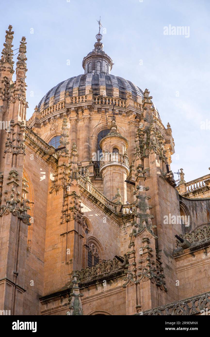 The New Cathedral, Catedral Nueva is one of the two cathedrals of ...