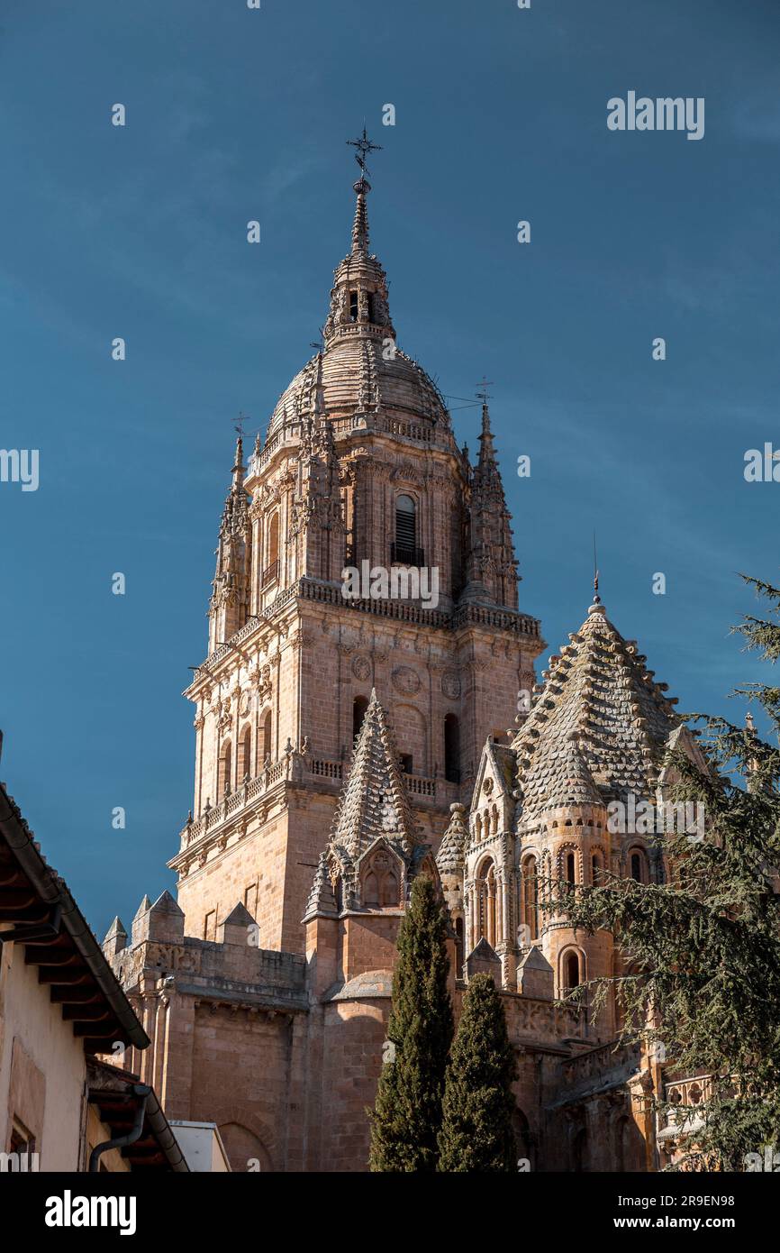 The New Cathedral, Catedral Nueva is one of the two cathedrals of ...