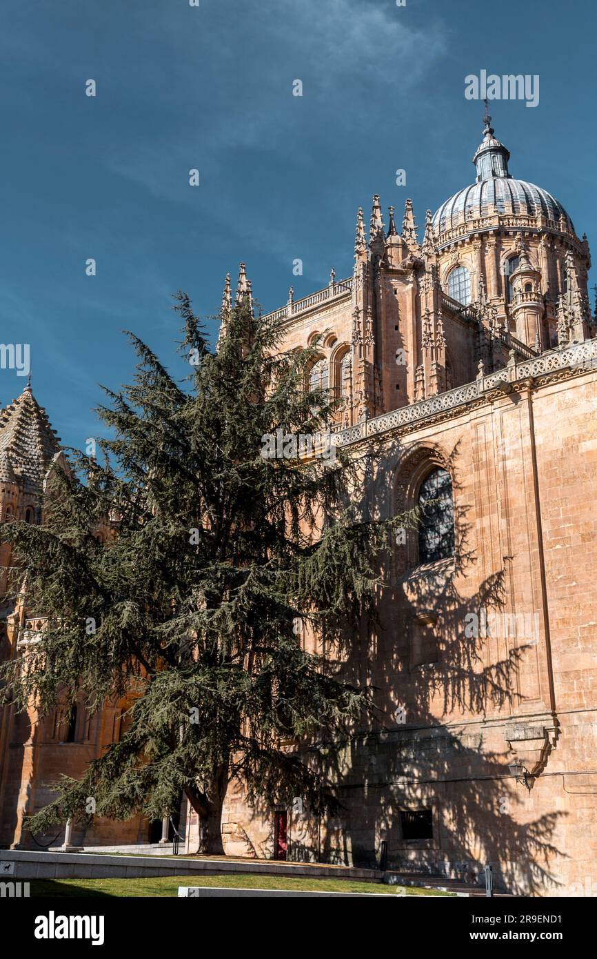 The New Cathedral, Catedral Nueva is one of the two cathedrals of ...