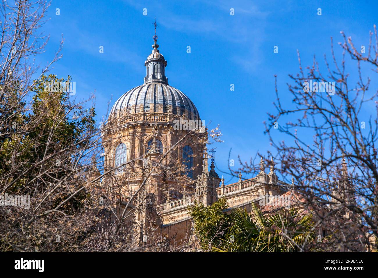 The New Cathedral, Catedral Nueva is one of the two cathedrals of ...