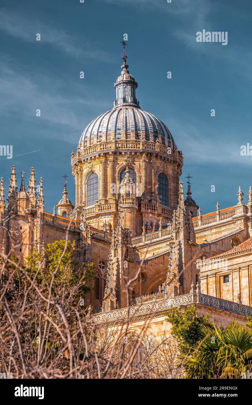 The New Cathedral, Catedral Nueva is one of the two cathedrals of ...