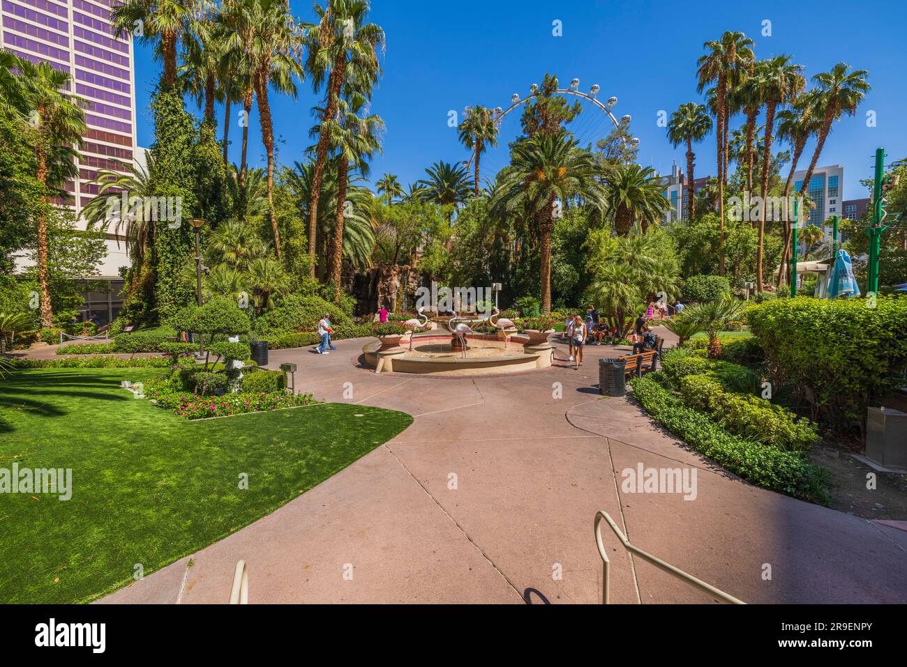 Flamingo las vegas garden hi-res stock photography and images - Alamy