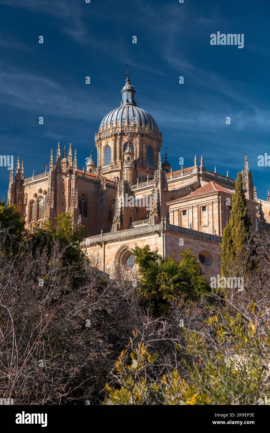 The New Cathedral, Catedral Nueva is one of the two cathedrals of ...