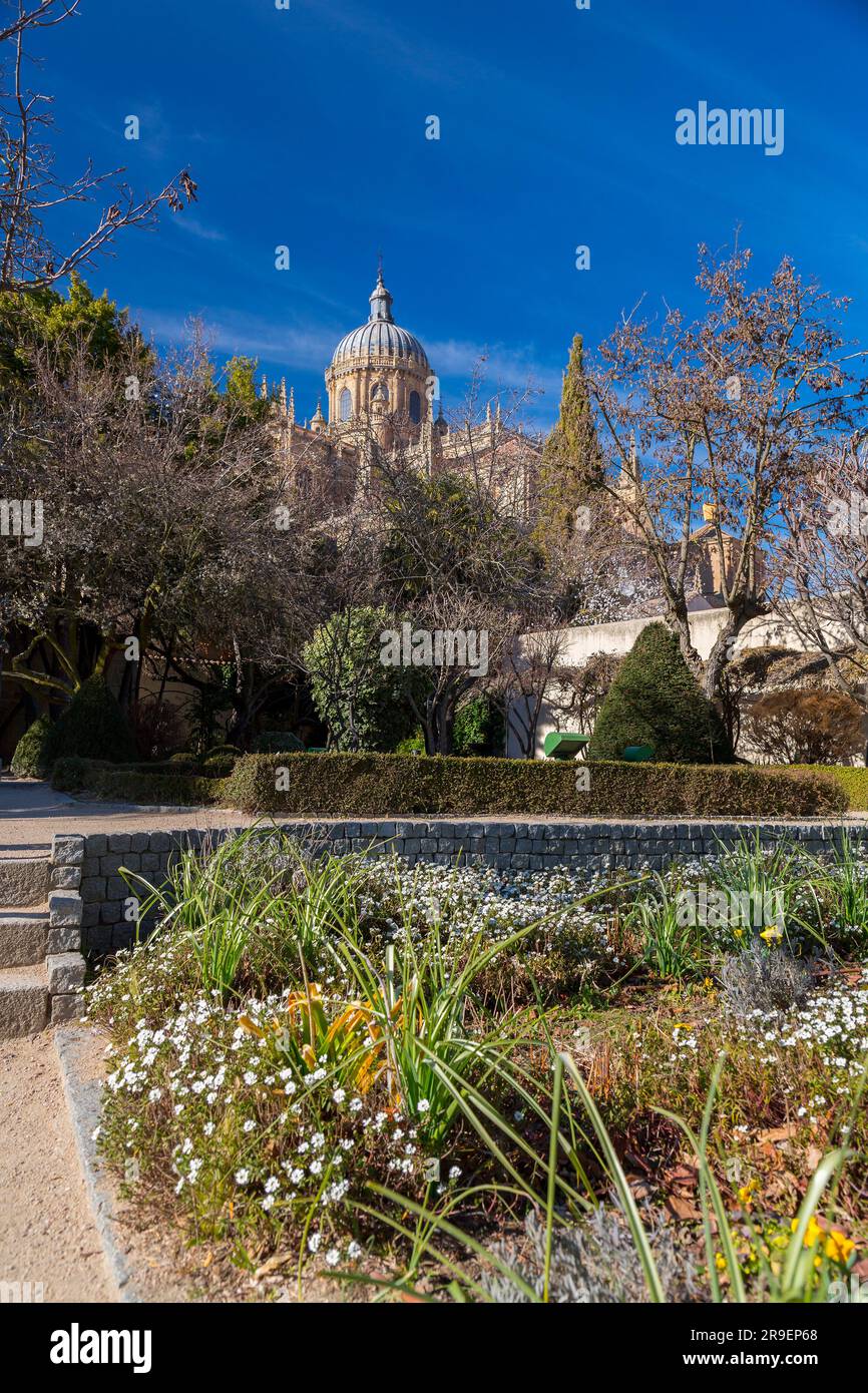 The New Cathedral, Catedral Nueva is one of the two cathedrals of ...
